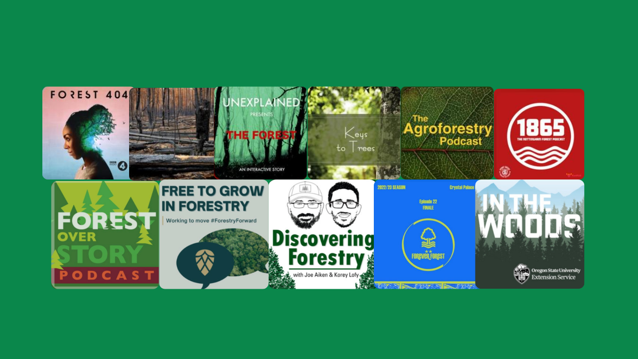 Top 10 Best Forest Podcast: Explore the Wonders of Nature